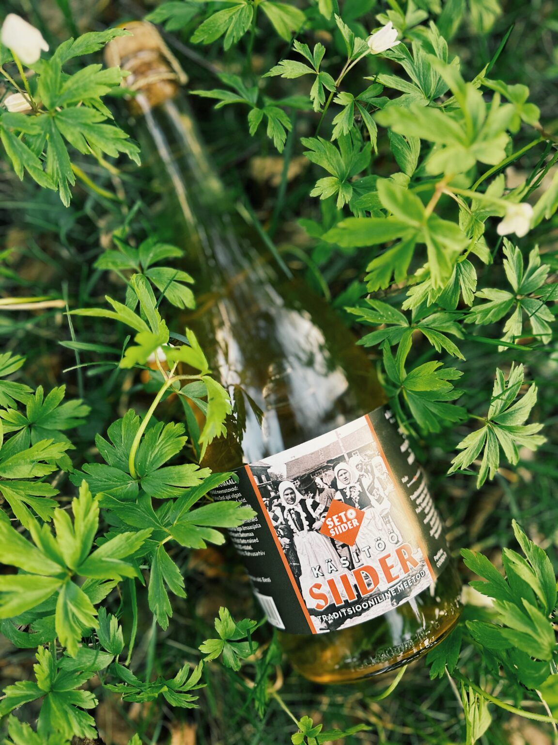 Esimene Seto Siider tuleb Tartusse ⋆ Uma tettu